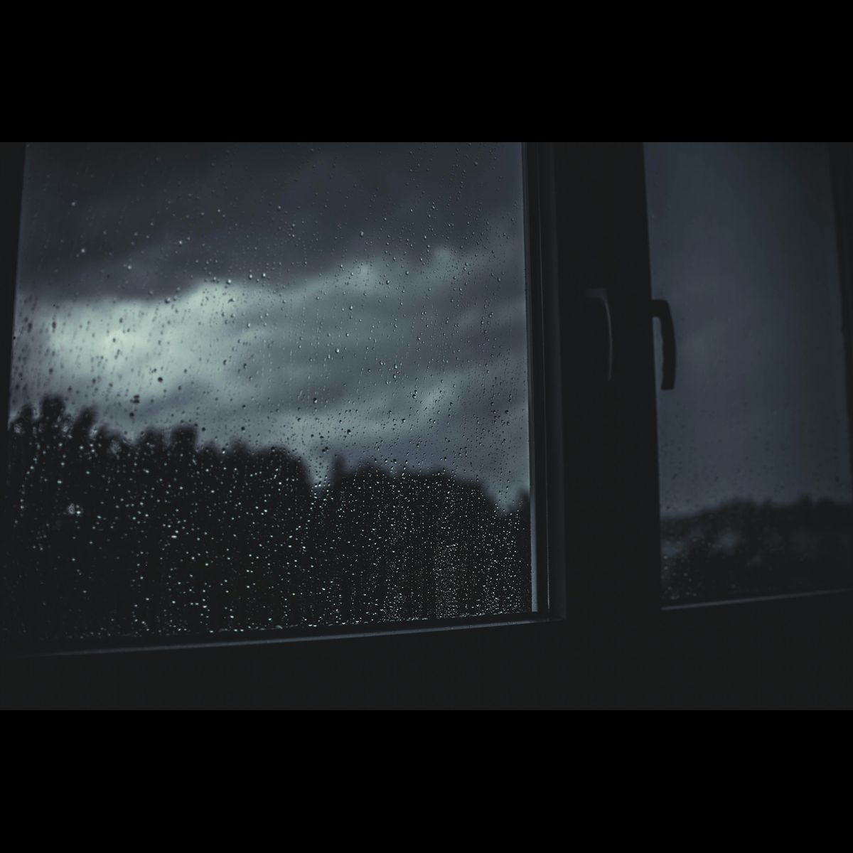 Lifeline Support Toolkit